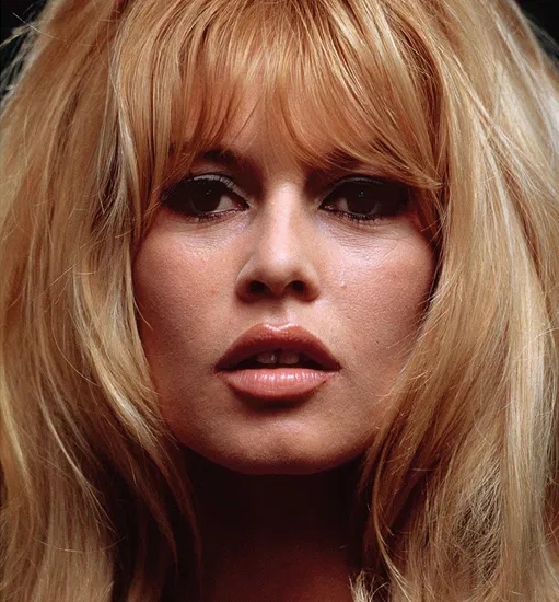 Brigitte Bardot, icon of French cinema, dies